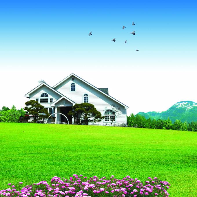 雨燕娱乐天天看 