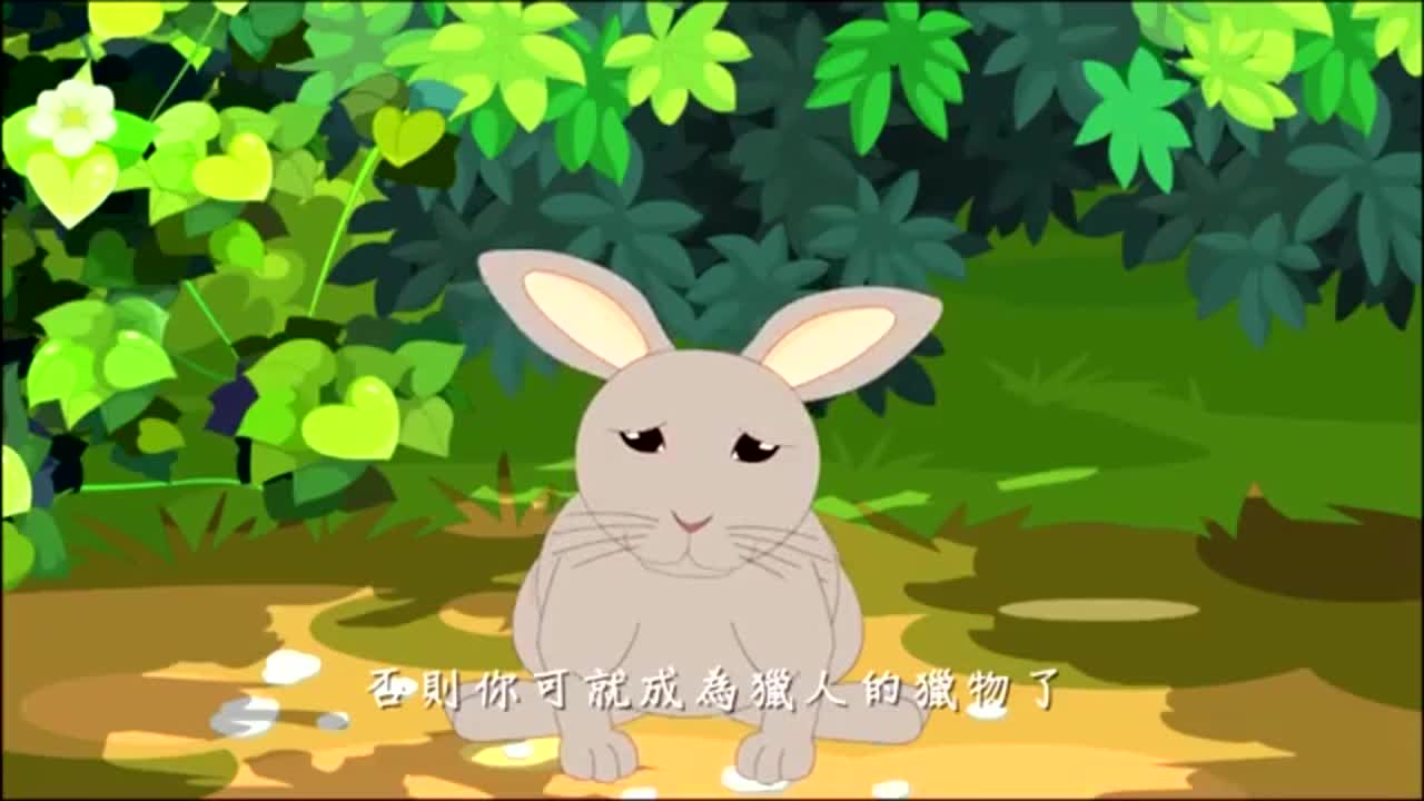 智慧故事 救兔得珍药_佛教动画片