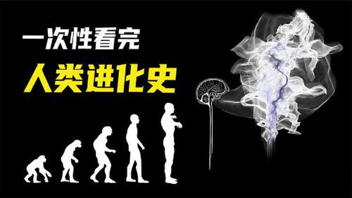一次性看完人类进化所有历程