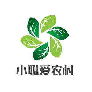 小聪爱农村 