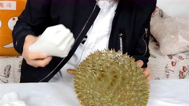 男子用石膏做出一只“拳头”模型,一拳捶下去,能打爆榴莲吗?