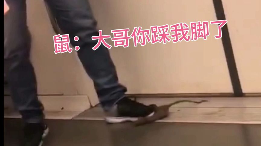 搞笑配音 你信不信拿瓶收了你ߤ