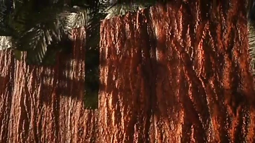 我的世界超真实材质包 这里一切都是真的