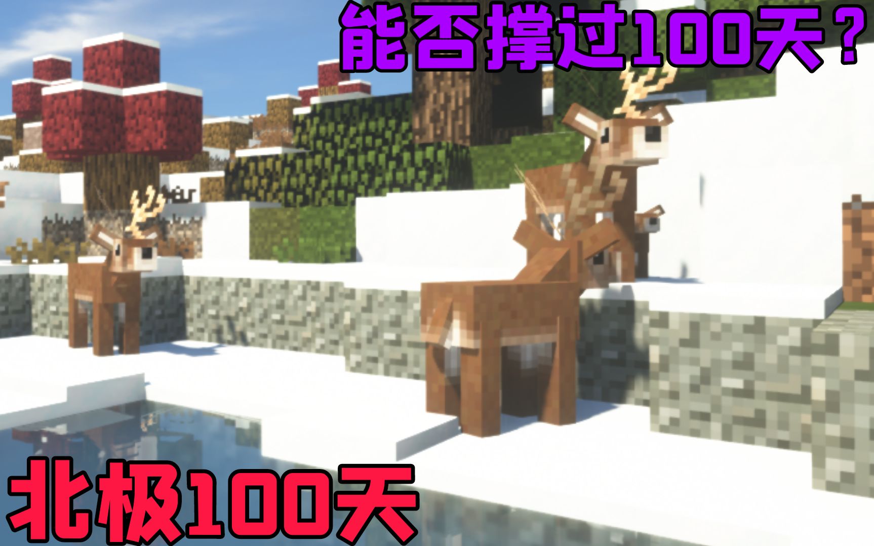 【我的世界】北极100天 能否成功挑战生存100天?