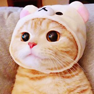 我和老高房车行 