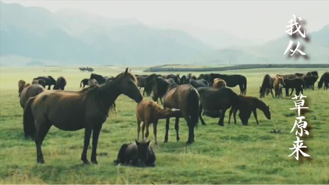 凤凰传奇推荐经典草原歌曲《我从草原来》,单曲循环20遍都听不够