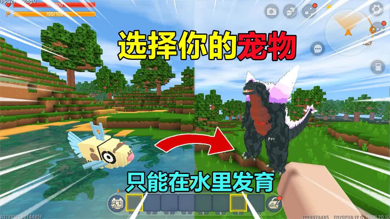 迷你世界:选择你的宠物!鱼只能在水里发育,但能进化成哥斯拉