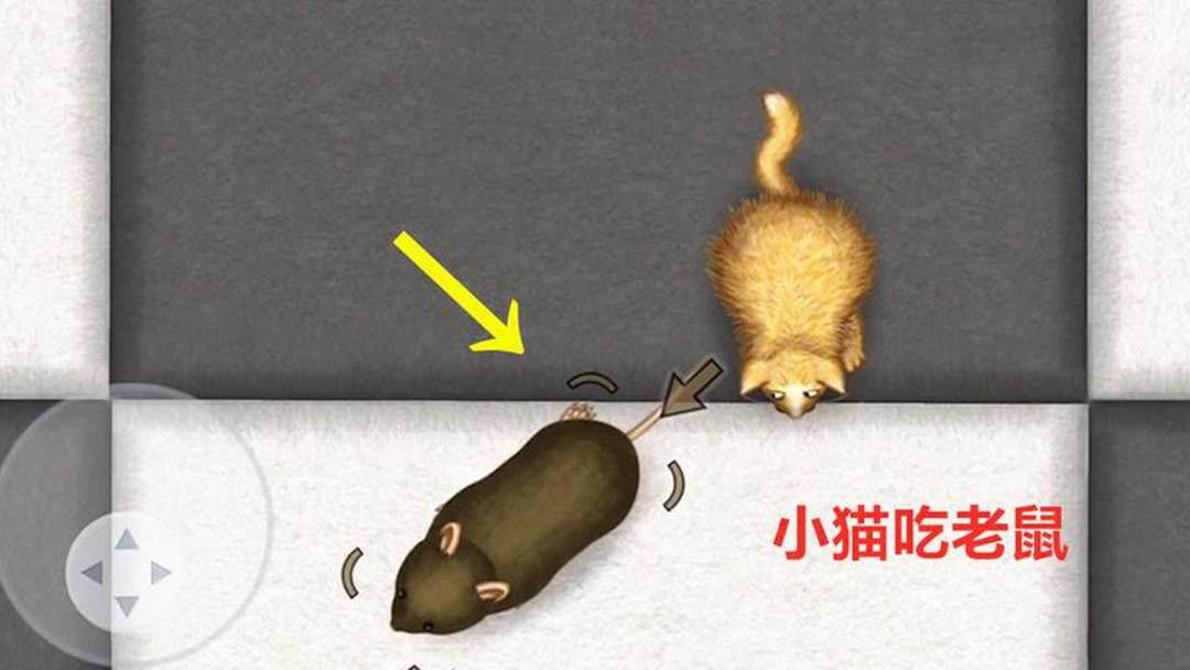 小歪玩游戏小猫模拟器!我变成一只猫,一口吃掉一只老鼠