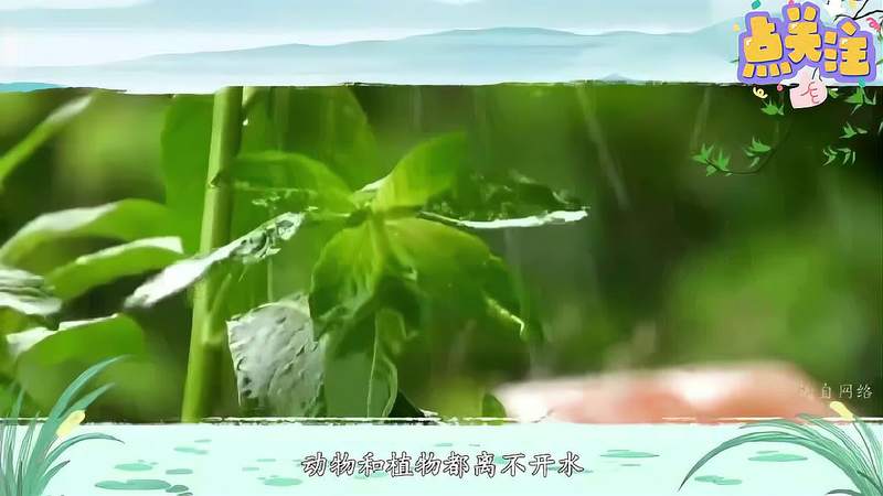 第2集-课文二年级上册同步动画《水的旅行》~跟着孩子一起阅读吧~
