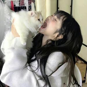 妮妮玩具动漫 