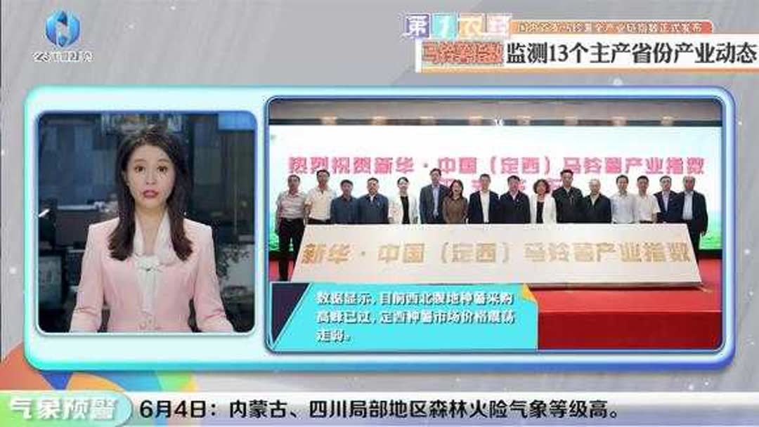 国内首支马铃薯全产业链指数正式发布