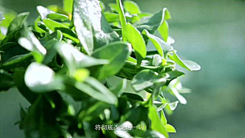 众享福泽宣传片 推动社区食品安全进步