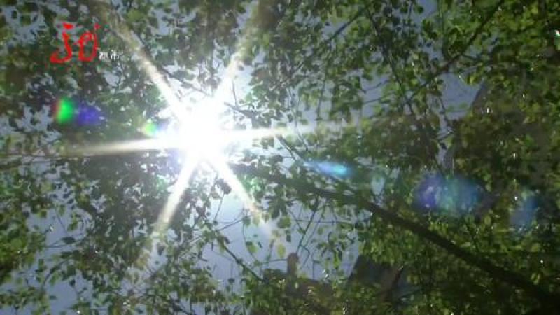 【我为群众办实事】自找监督办实事 环境秩序得提升