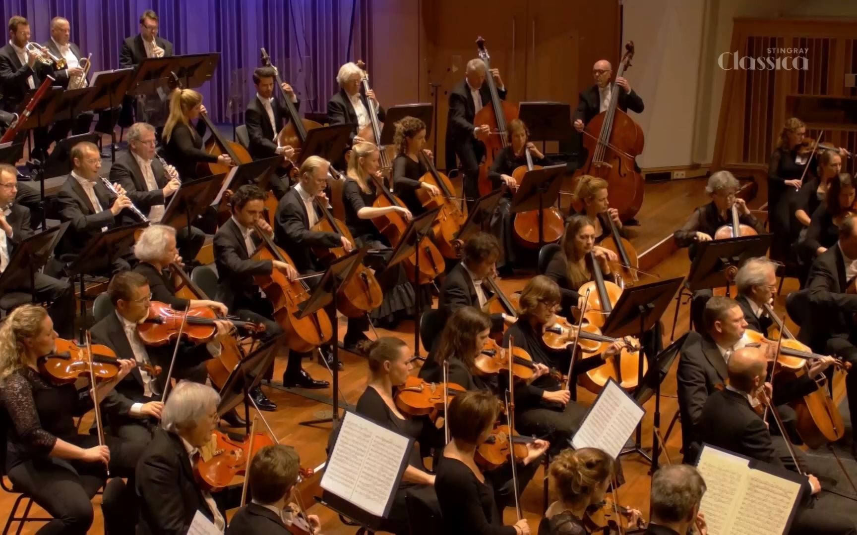 布鲁克纳第七交响曲 Hartmut Haenchen指挥南荷兰爱乐乐团