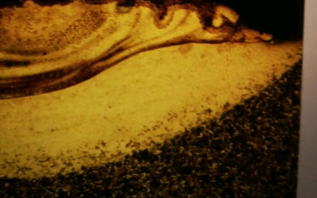 金相显微镜使用