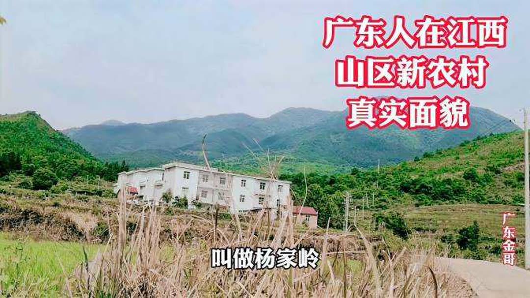 广东人在江西莲花拍新农村建设视频,走进18户人家的杨家岭看实景