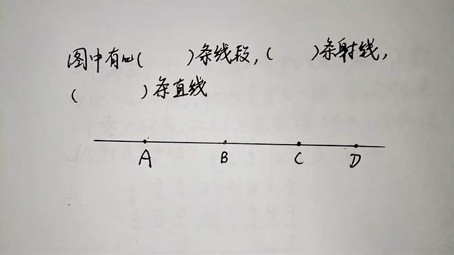 四年级数学:图中有()线段,()射线,()直线
