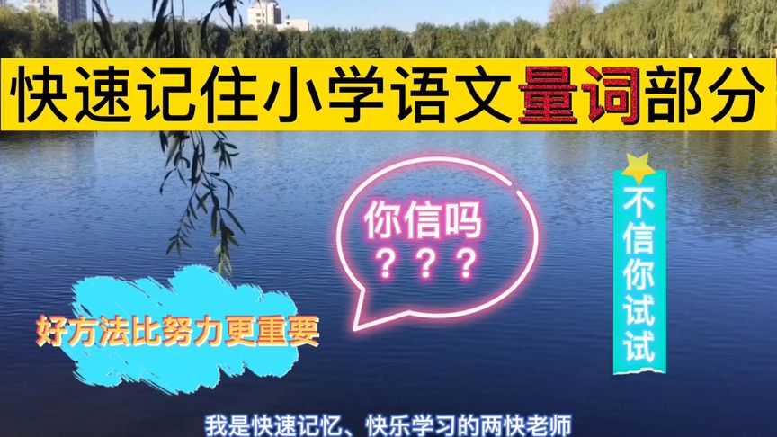 1分钟记住小学语文量词部分(五)你信吗?