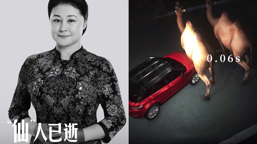 于月仙车祸动画推演:撞骆驼冲击力达31吨,安全带成“夺命带”?