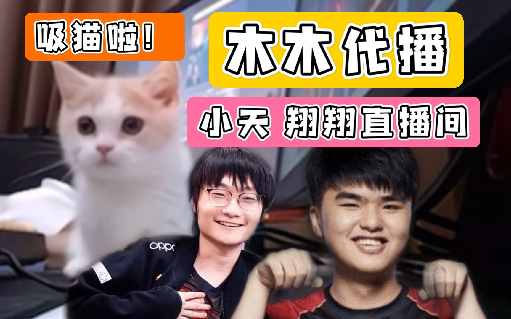 【FPX猫片】来吸木木!天翔小学生吵架不忘喂猫咪吃零食 可爱木木...