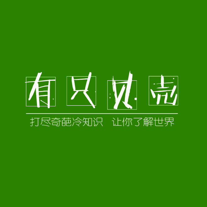 有只贝壳 
