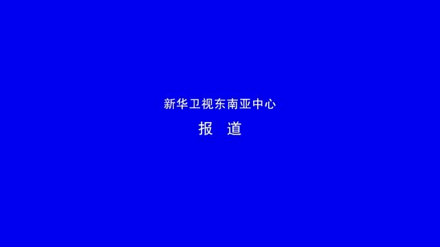 昆明新华电视台报道关于公司成立党支部的相关事宜[烟花][烟花…