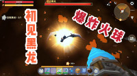 迷你世界:豆豆小师弟单人生存 第98集 破开基岩遇黑龙,爆炸火球好猛