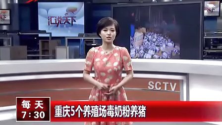 重庆5个养殖场毒奶粉养猪-潍坊租车