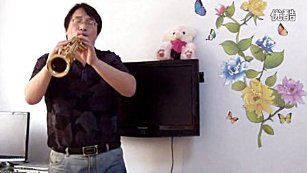 直管萨克斯,但愿人长久