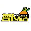 萝卜报告 