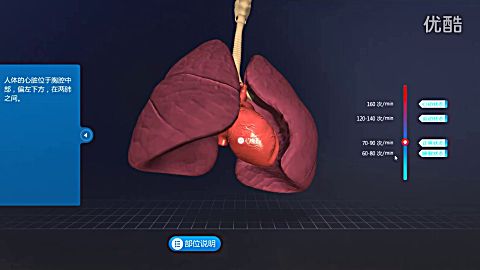 101教育PPT——3D教学资源