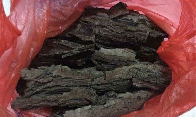 柳树皮看见了就捡回家,养花可是个宝贝,花草旺盛肥料足,太实用