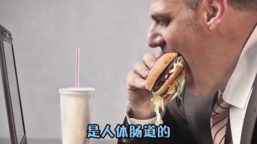 这三种病毒和细菌,对人类无害,还保护着人类