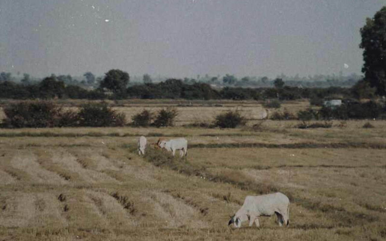纯音乐|溺れるナイフ(溺水小刀) -我再也不做你的领航员了/圈儿