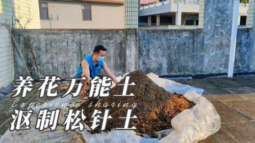 养花不需要再买土,手把手教你不花钱制作"松针土",种啥都长得旺