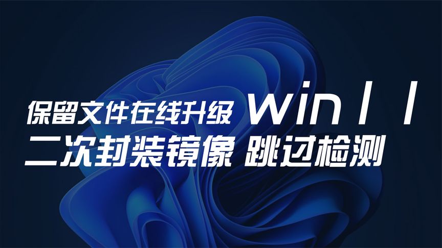 跳过硬件检测,保留电脑原有文件,在线升级win11系统