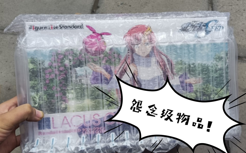 高达SEED模型FRS拼装,拉克丝·克莱茵!