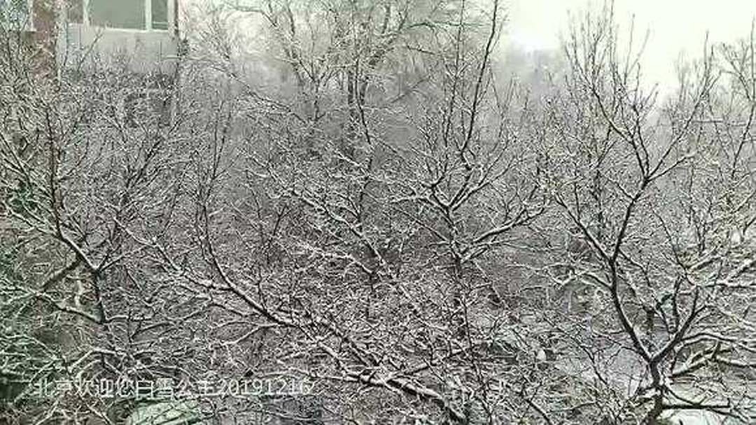 北京欢迎您白雪公主