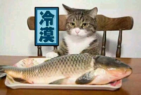 蓝天白云西装和你 