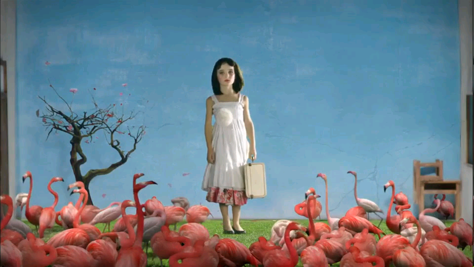 35届学生奥斯卡金奖短片「维奥拉」