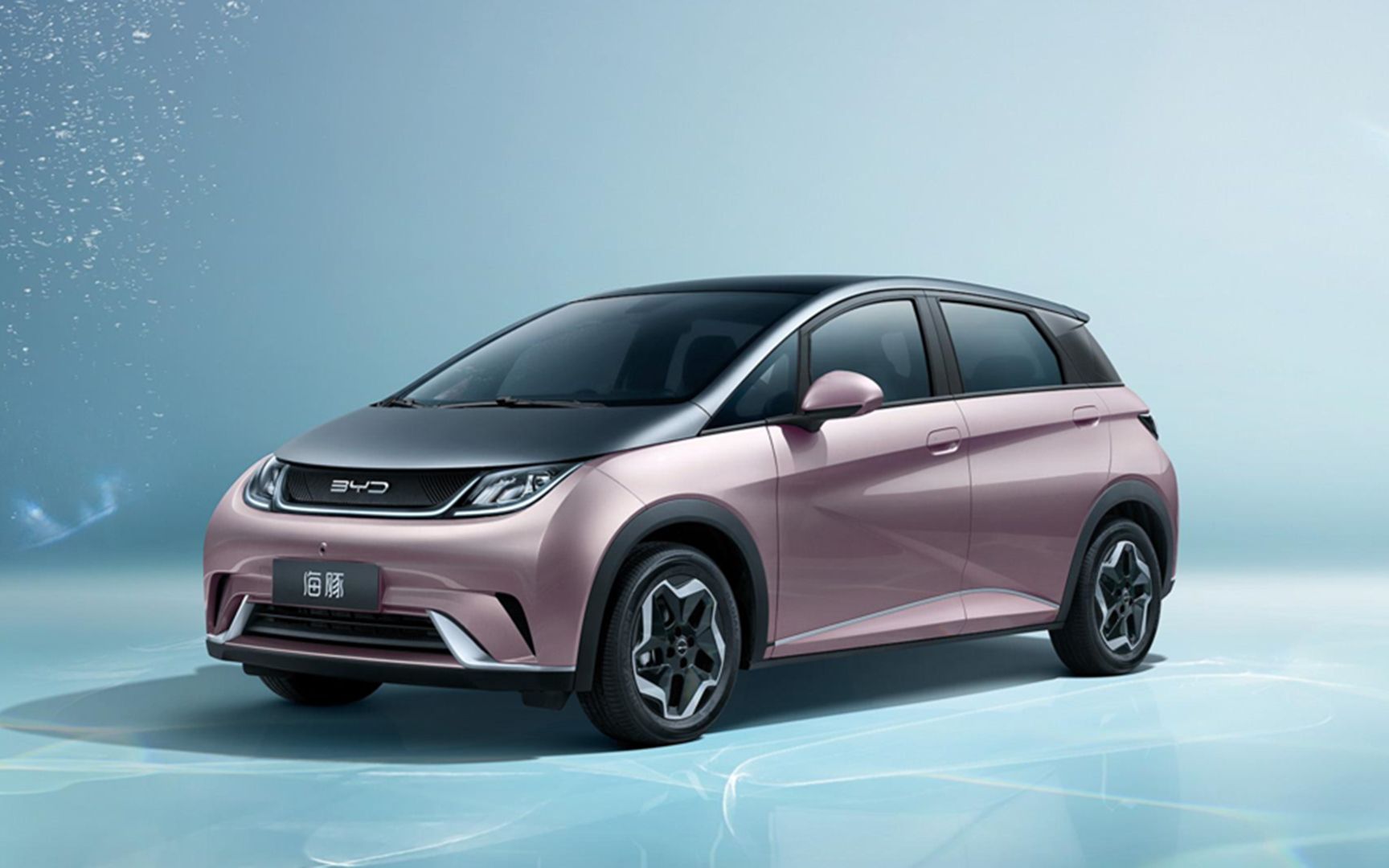 比亚迪海豚值得买吗?空间大吗?