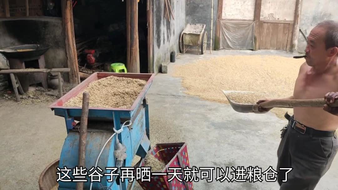四川农村打完谷子,还要放院坝里晒几天,车谷子用电动风车效率高