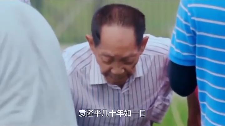 杂交水稻究竟有多厉害?袁隆平的一生到底有多传奇?(中篇)