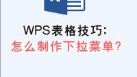 WPS表格技巧:怎么制作下拉菜单?—江下办公