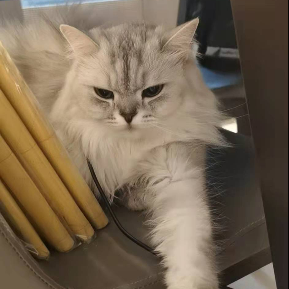 哪有不总结的道理 