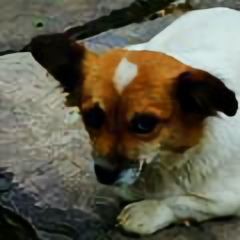 来人把城楼点了爱妃要 