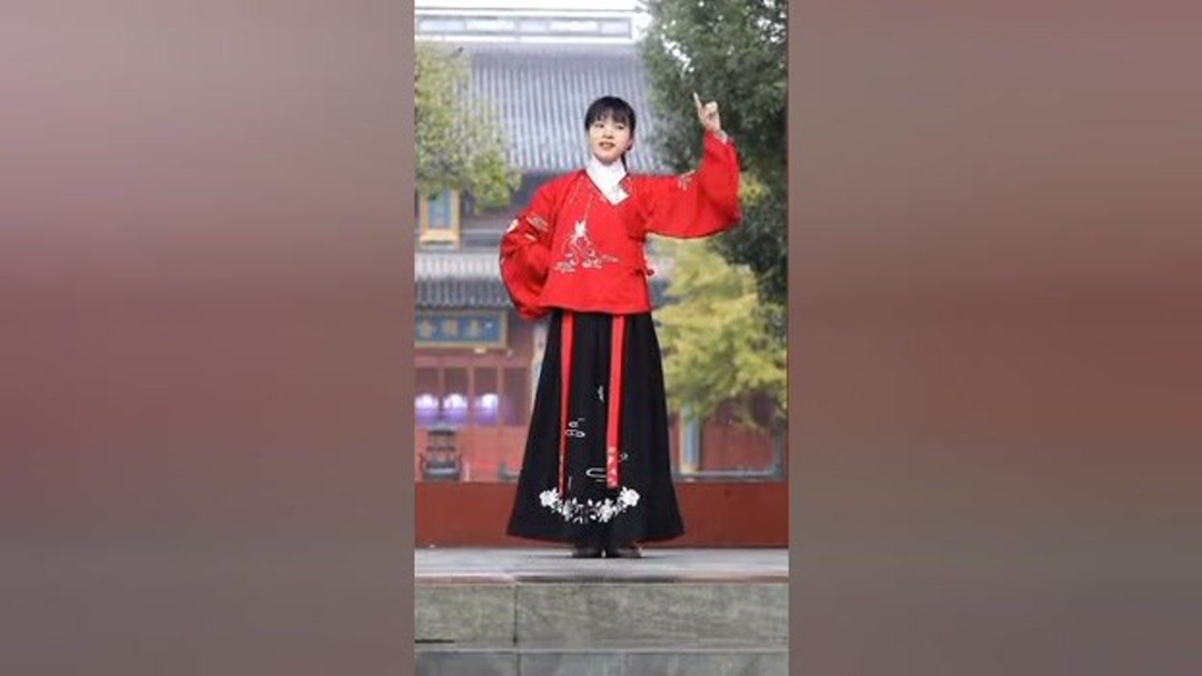 中国字中国人手势舞——镜面动作