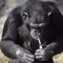 正在输入字母123 