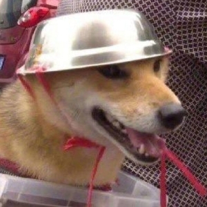 咖啡不加葡萄糖 