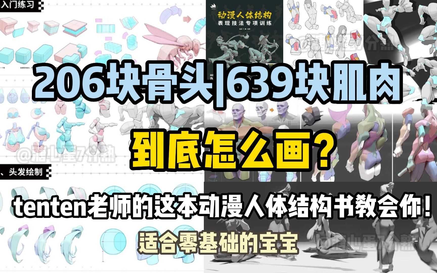【绘画教程】206块骨头和639块肌肉到底怎么画?tenten老师的这本...
